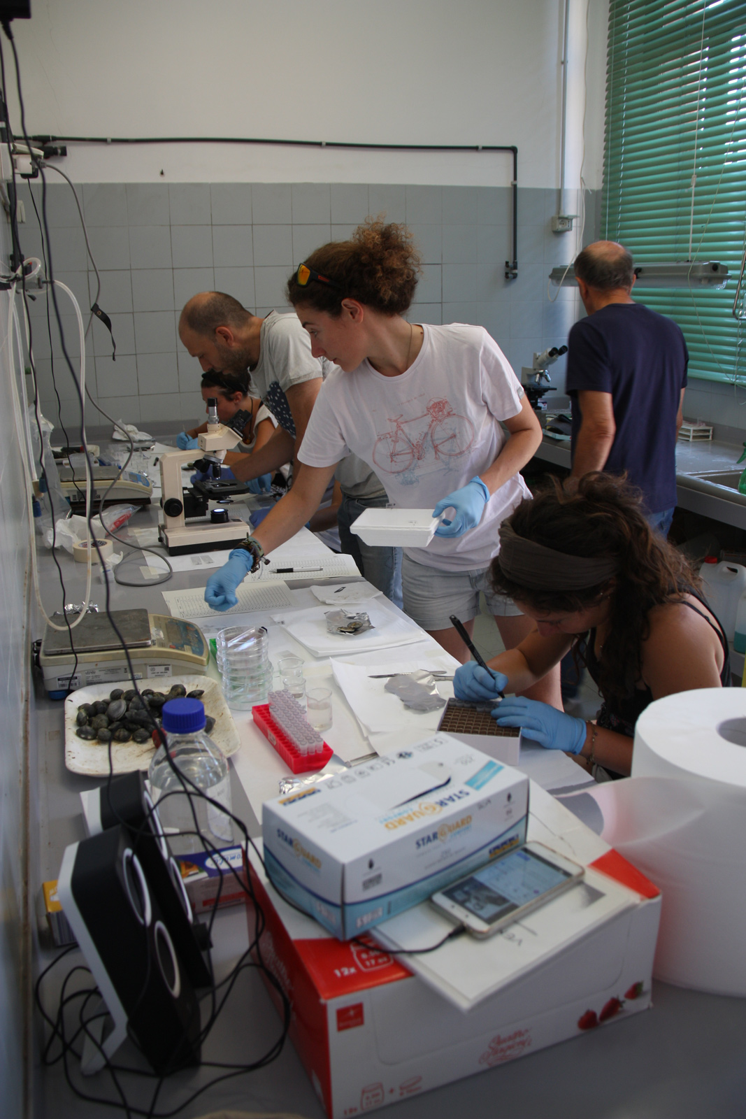 Biology, biodiversity and ecosystem services offered by the Lagoon ...