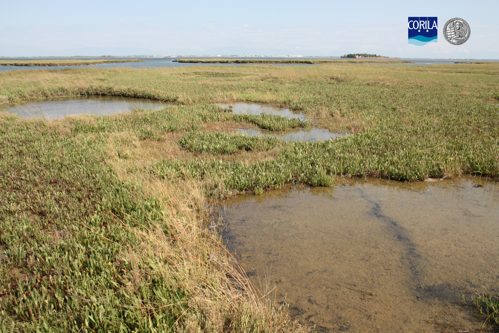 Biology, biodiversity and ecosystem services offered by the Lagoon ...