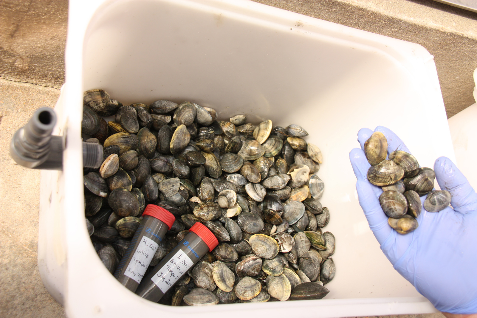 Biology, biodiversity and ecosystem services offered by the Lagoon ...